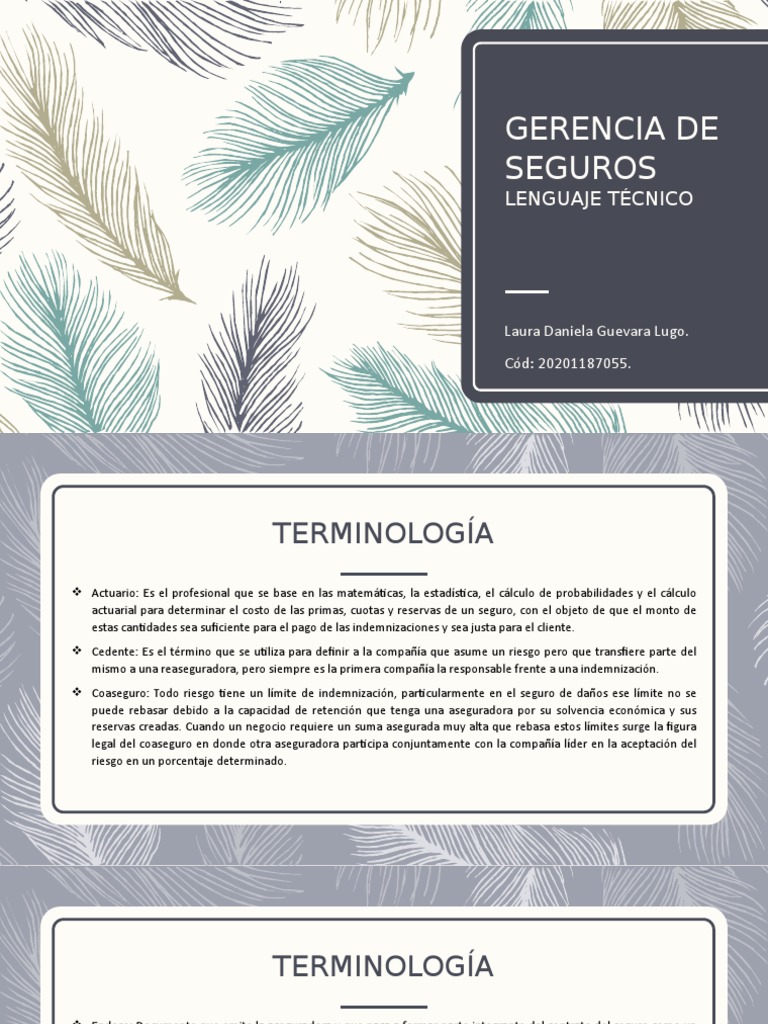 Lenguaje Técnico | Descargar gratis PDF | Reaseguro | Seguro