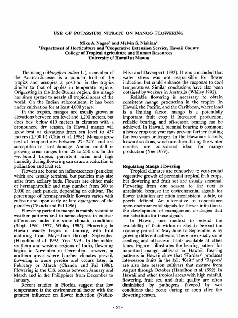 Use of Potassium Nitrate On Mango PDF | PDF | Mango | Flowers