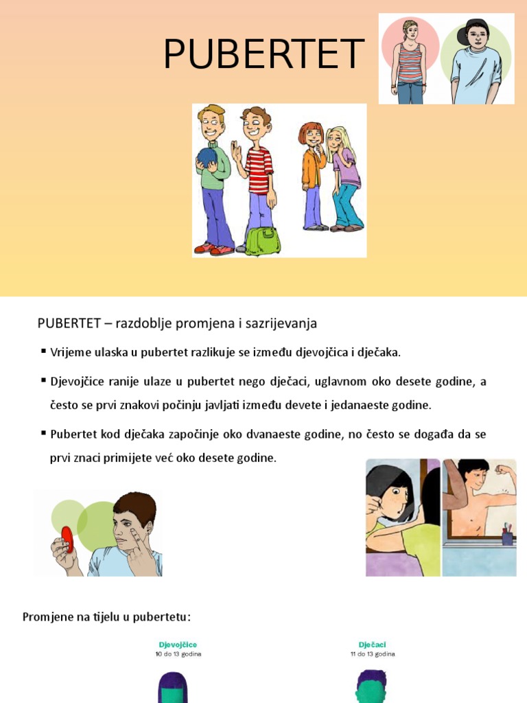 Pubertet | PDF