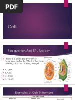 Annotated Video Script TEMPLATE Cell Cycle by Amoeba Sisters | PDF ...