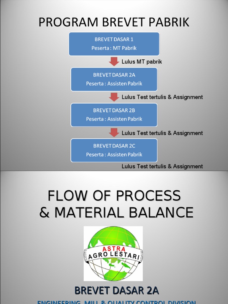 Flow of Process & Material Balance | PDF
