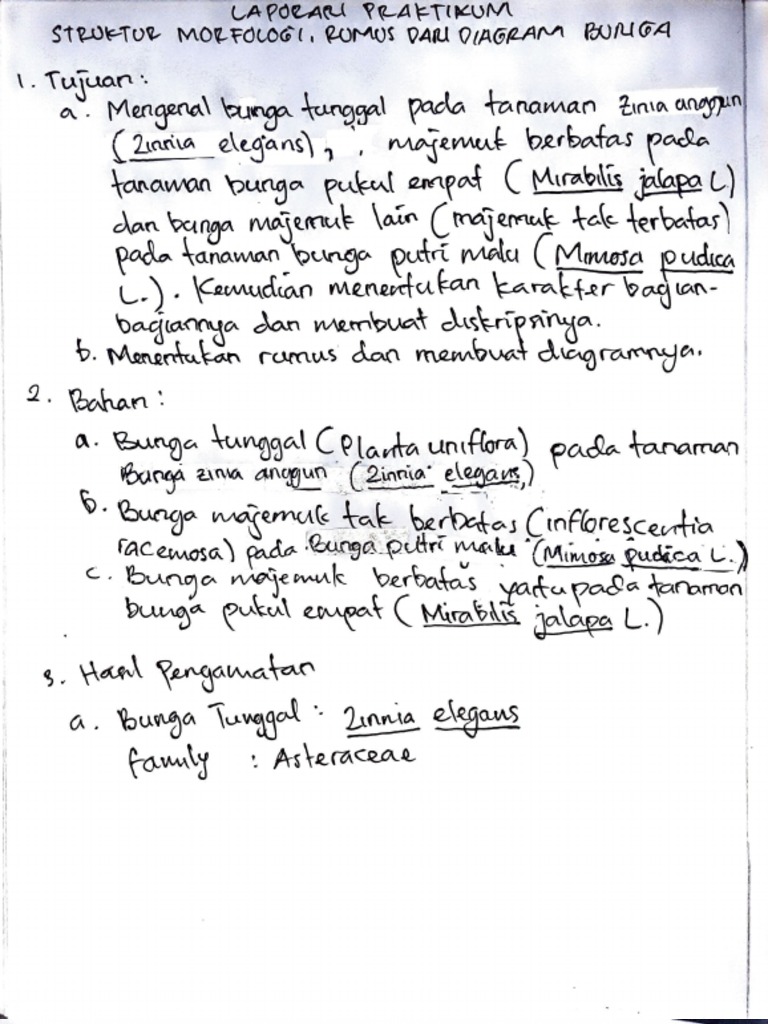 Laprak Struktur Morfologi, Rumus, Dan Diagram Bunga | PDF