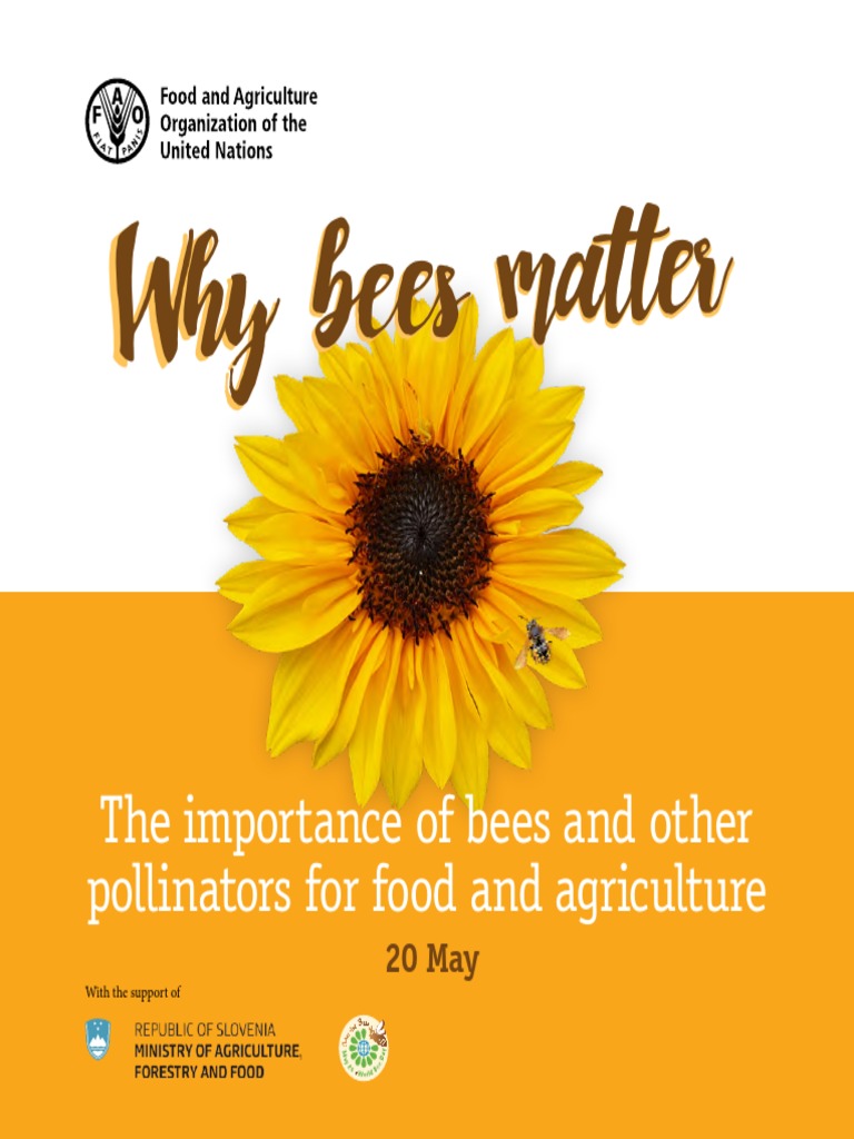 Why Bees Matter | PDF | Pollinators | Pollination