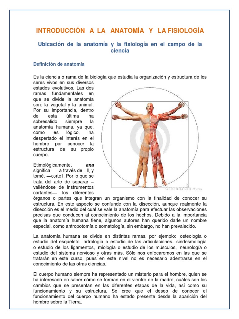 Introducción Al Curso De La Anatomía Y La Fisiología Pdf Fisiología