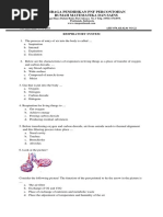 WS - Biology Grade 8 | PDF | Respiratory System | Breathing
