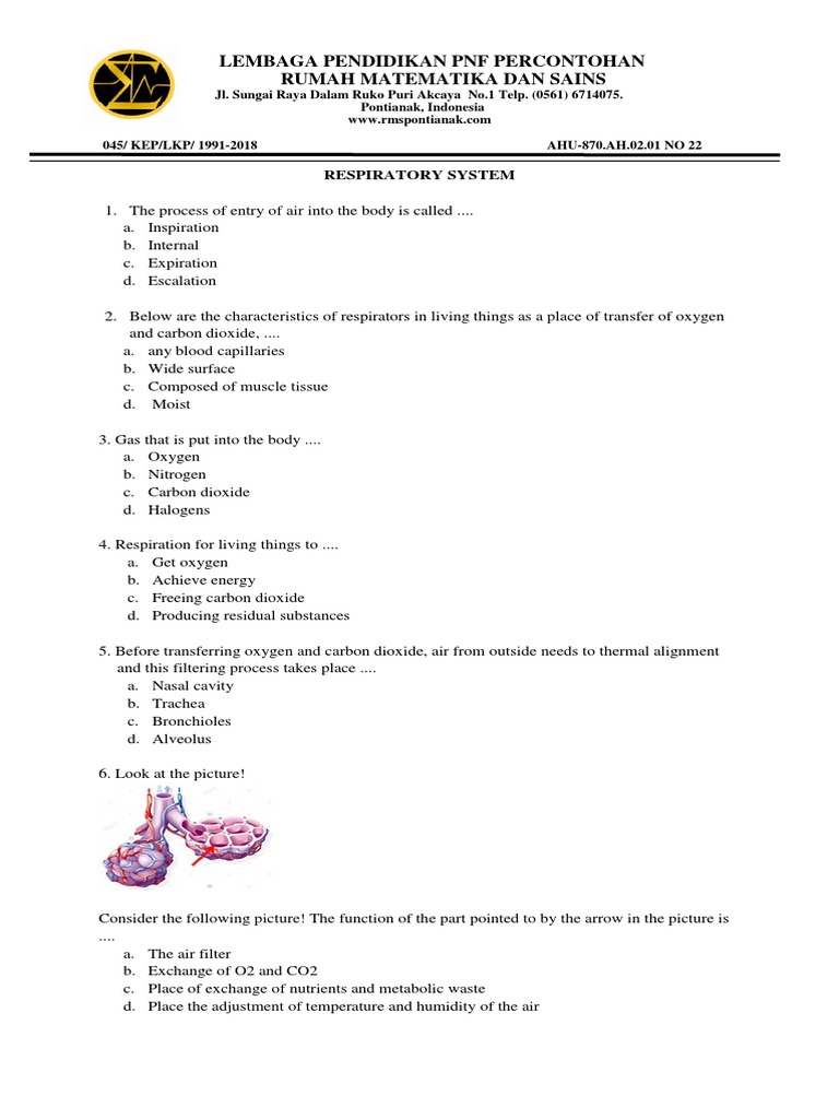 Year 8 Respiratory System MCQs | PDF | Lung | Breathing