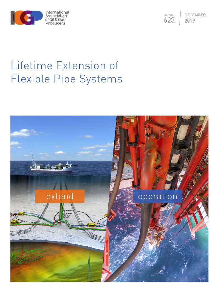 Lifetime Extension of Flexible Pipe Systems: Extend Operation | PDF ...