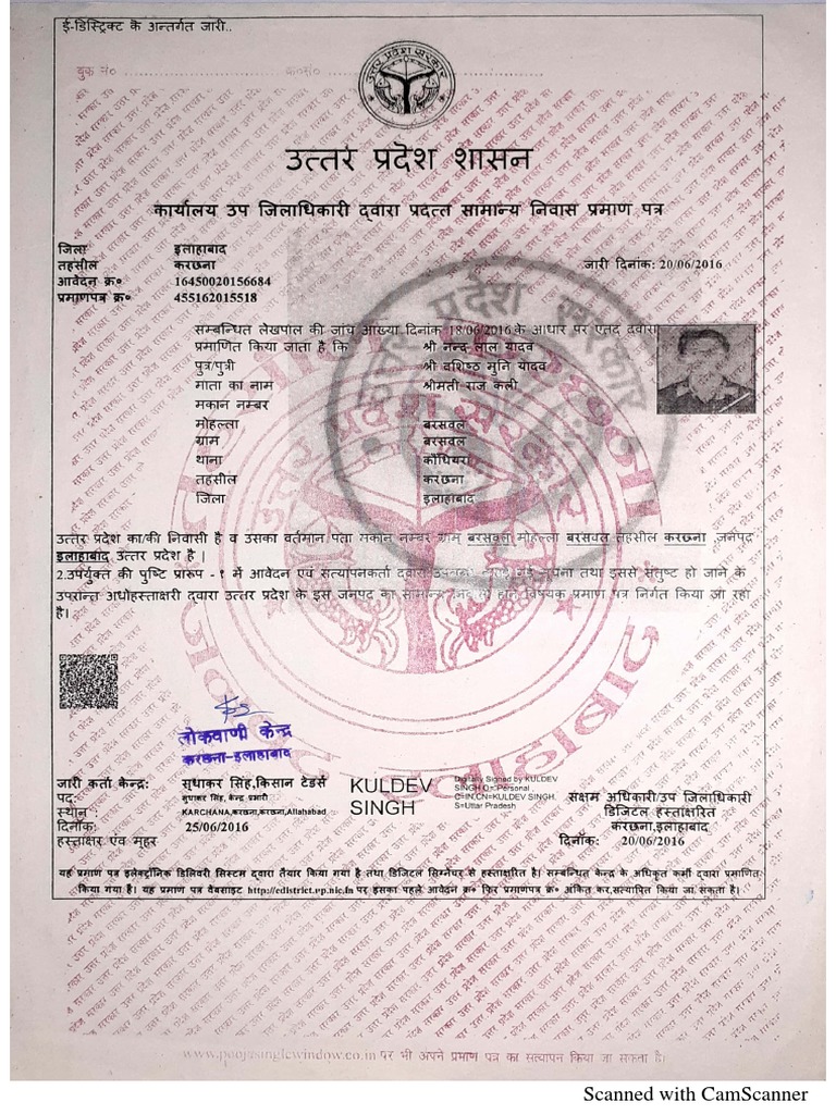 Domicile Certificate | PDF