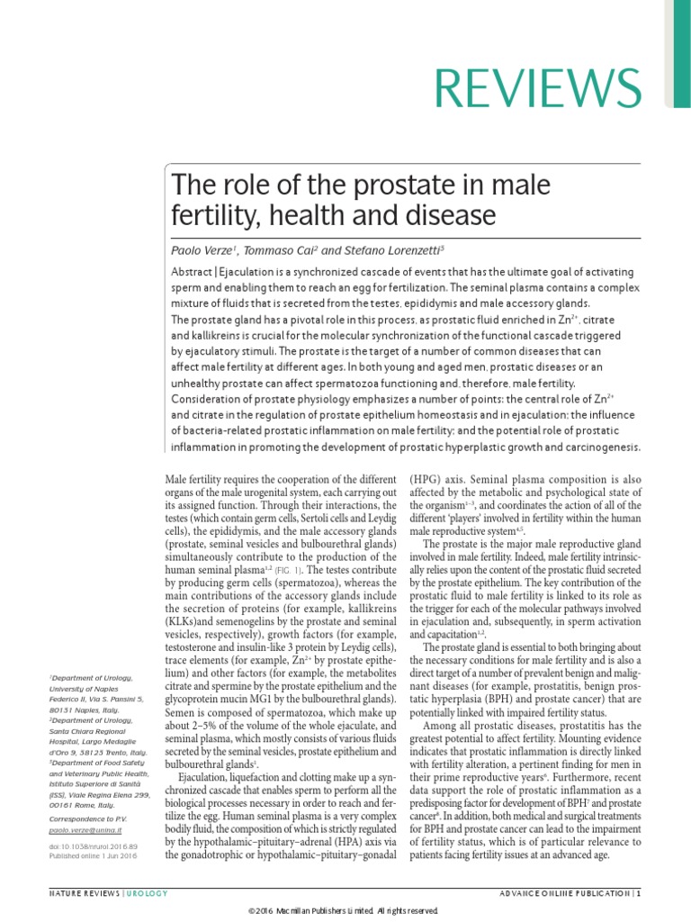 Paper 1.1 | PDF | Prostate | Epithelium