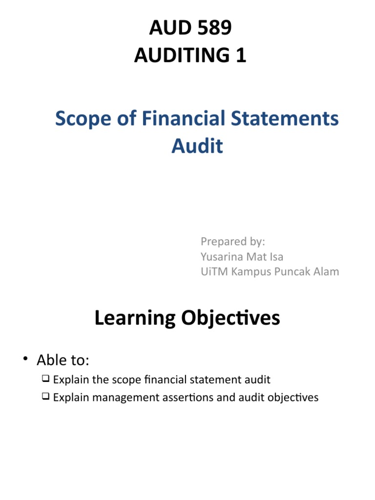 Scope of Financial Statement Audit | PDF | Audit | Balance Sheet