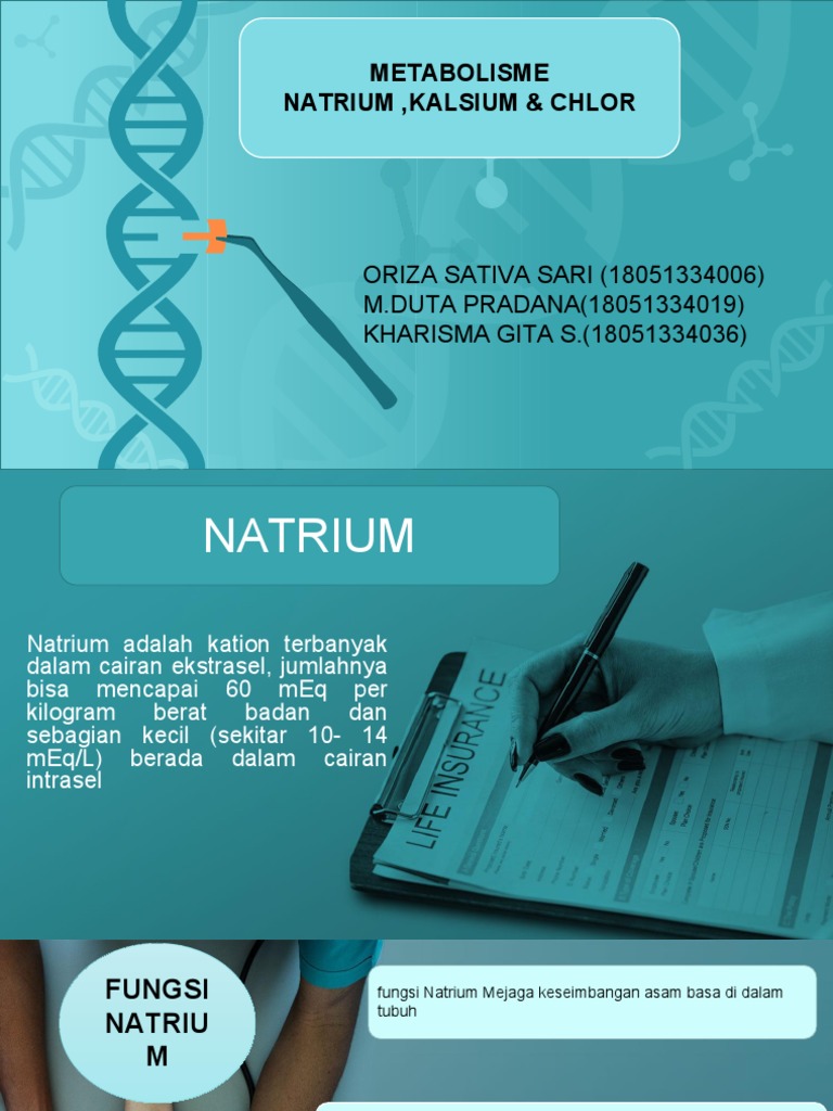 Metabolisme Natrium dan Kalium dalam Tubuh | PDF