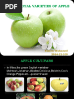 PLU - UPCS International Fruits Code | PDF | Capsicum | Chili Pepper