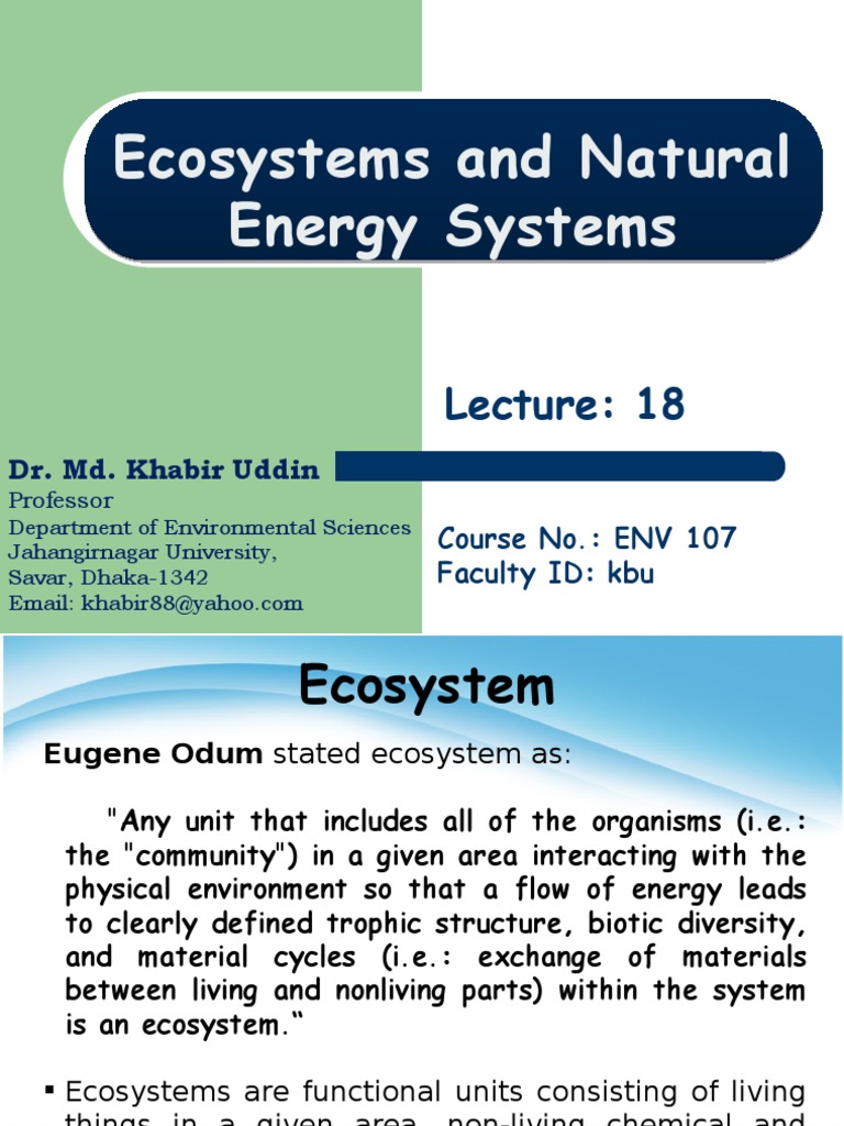Ecosystems and Natural Energy Systems | PDF | Aquatic Ecosystem | Ecosystem