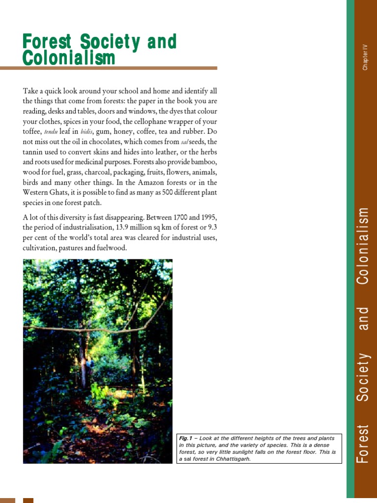 Forest Society Colonialism | PDF | Hunting | Tiger