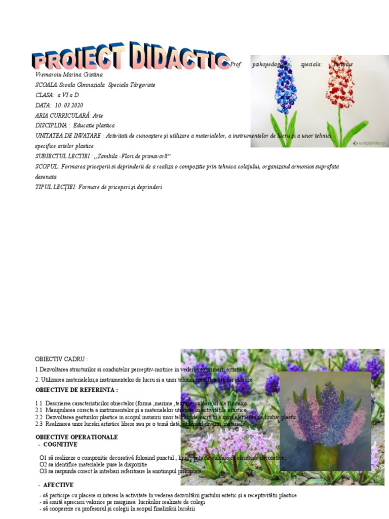 Proiect Didactic Educatie Plastica 2020 | PDF