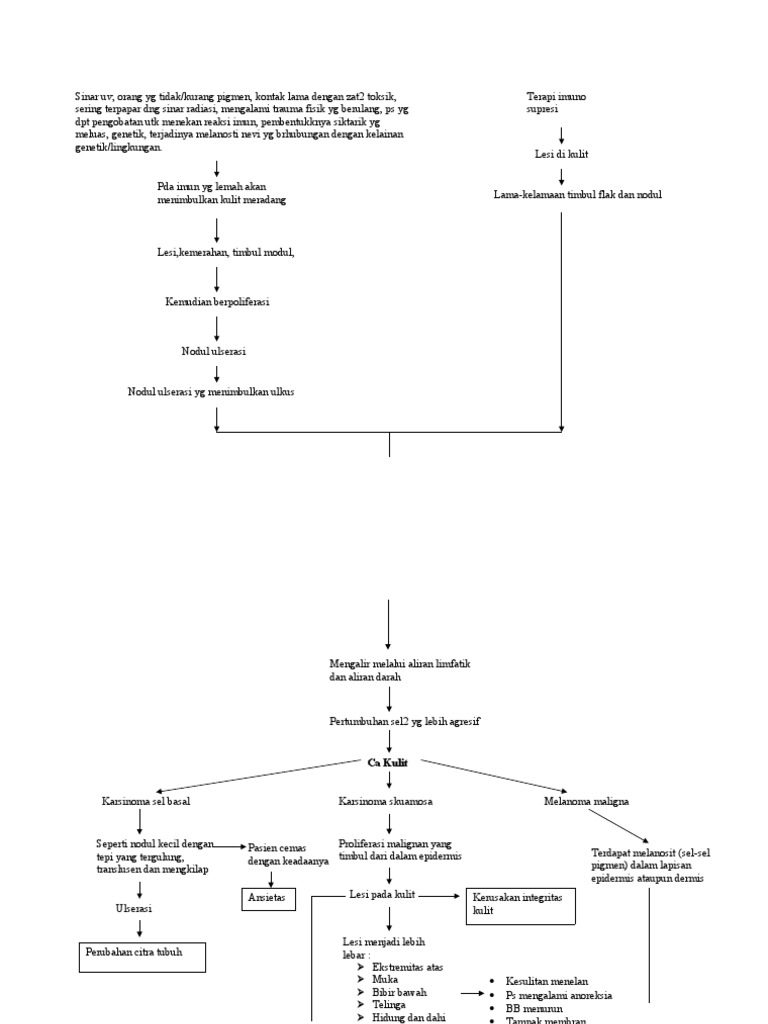 Kanker Kulit Melanoma Maligna Pdf
