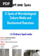 Api - 20 Ne - Microbial - Id-Sop | PDF | Nitrate