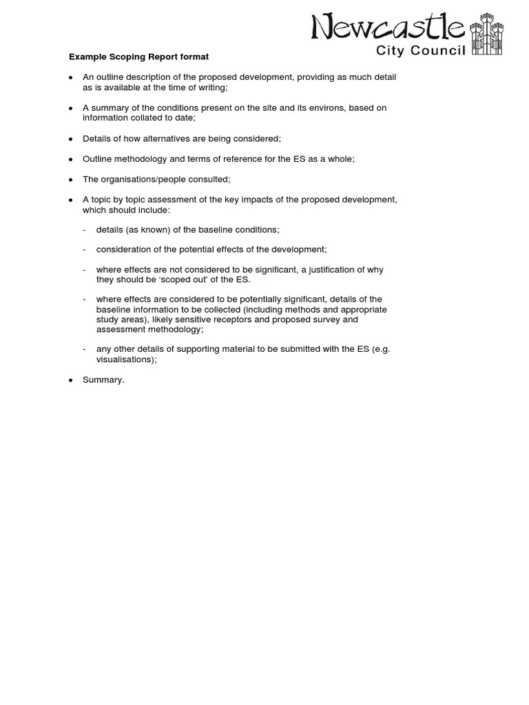 Example Scoping Report Format | PDF