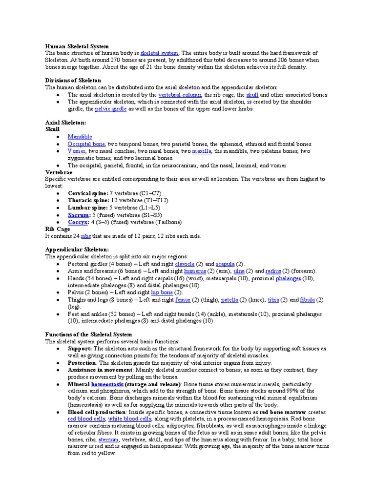 K00429 - 20180831105725 - Skeletal System | PDF | Bone | Skeleton