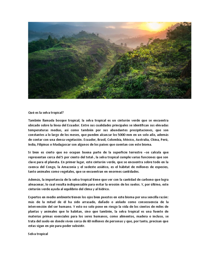 Datos Sobre La Selva Tropical