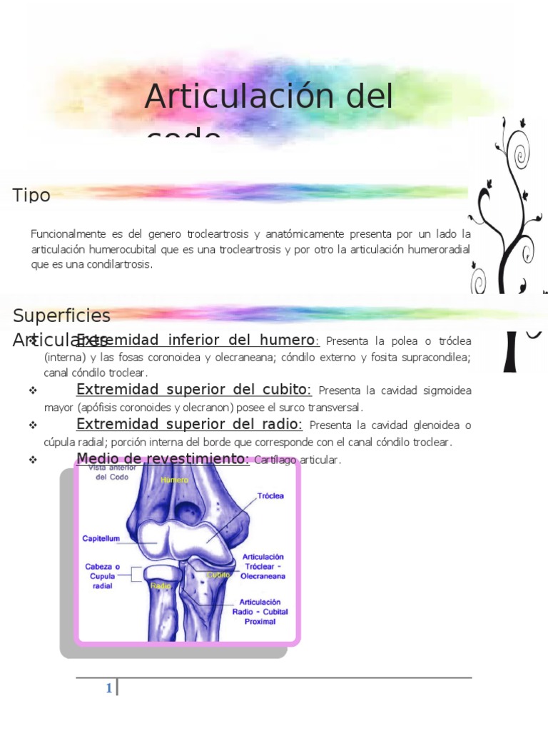 Articulacion Del Codo Pdf Codo Articulación