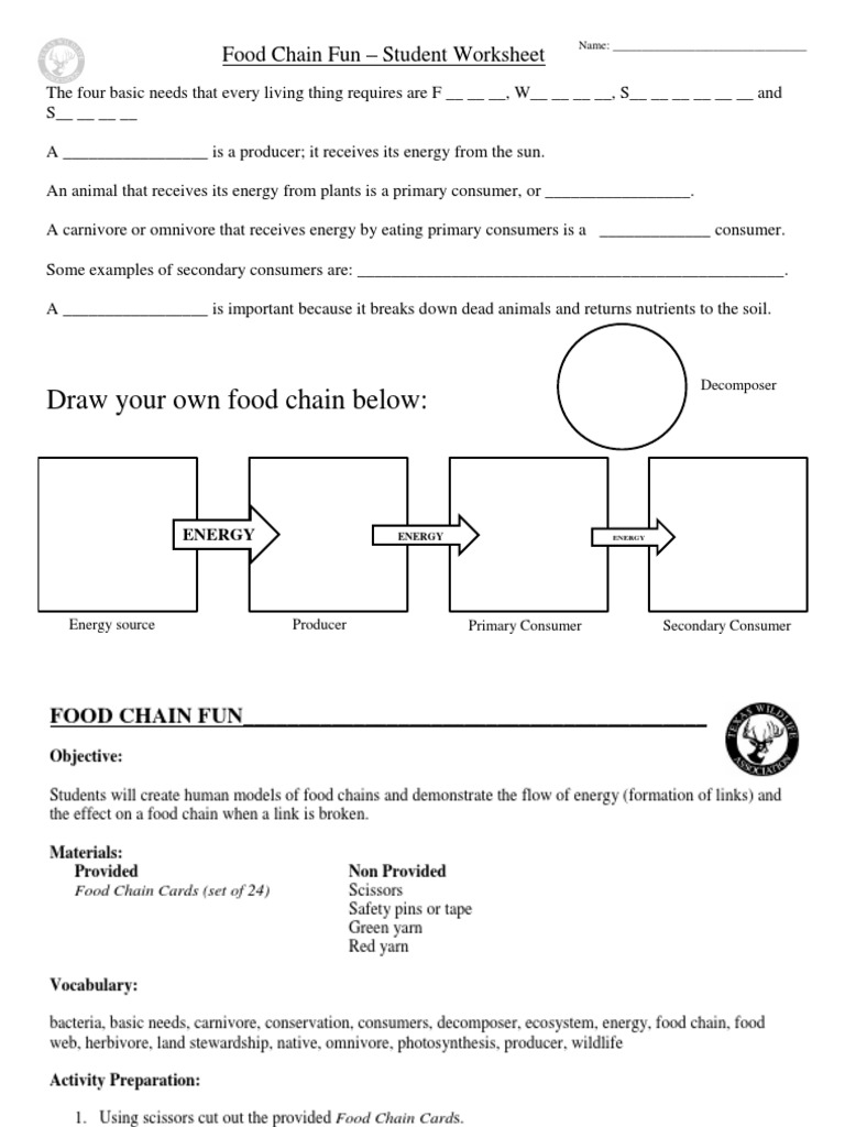 Food - Chain - Fun - GAME | PDF | Herbivore | Foods