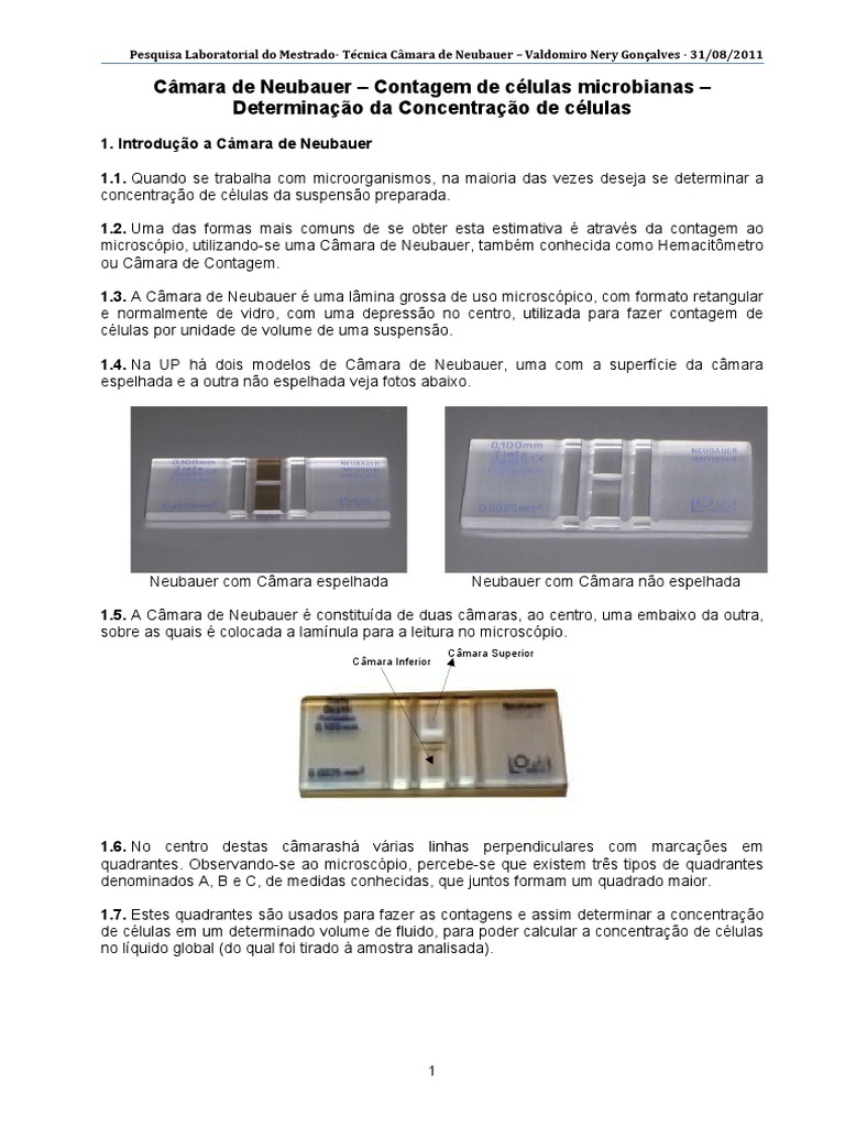 Técnica Camara de Neubauer | PDF | Concentração | Célula (Biologia)
