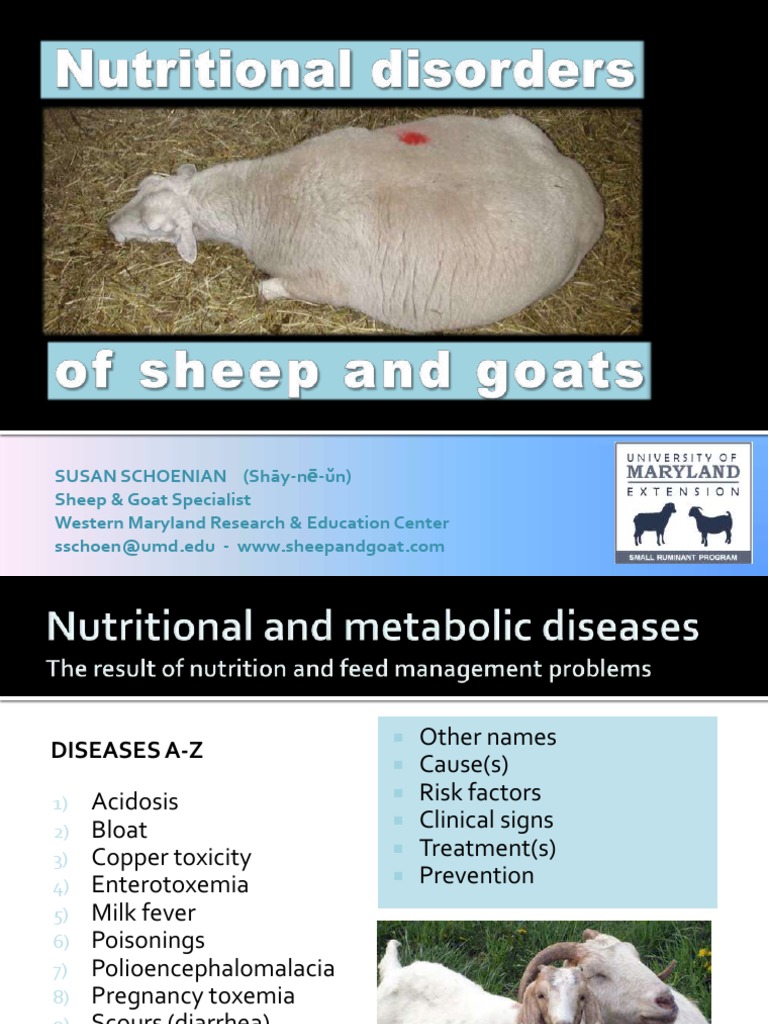 SUSAN SCHOENIAN (Shāy-Nē-Ŭn) Sheep & Goat Specialist Western Maryland ...