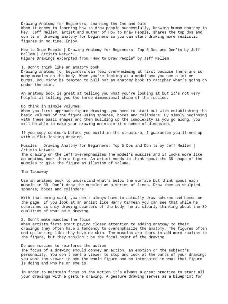 Anatomy and Drawing | PDF | Figure Drawing | Drawing