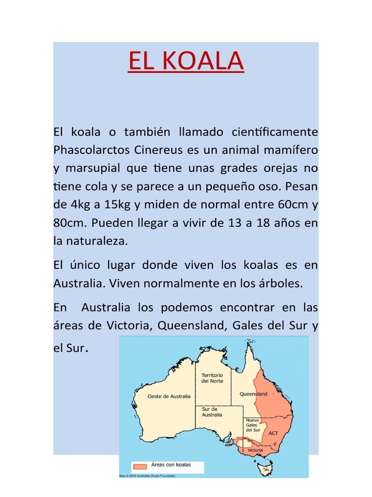 El Koala | PDF