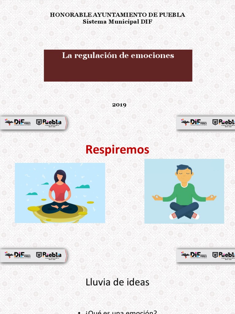 Estrategias de Regulación Emocional | PDF | Inteligencia emocional ...