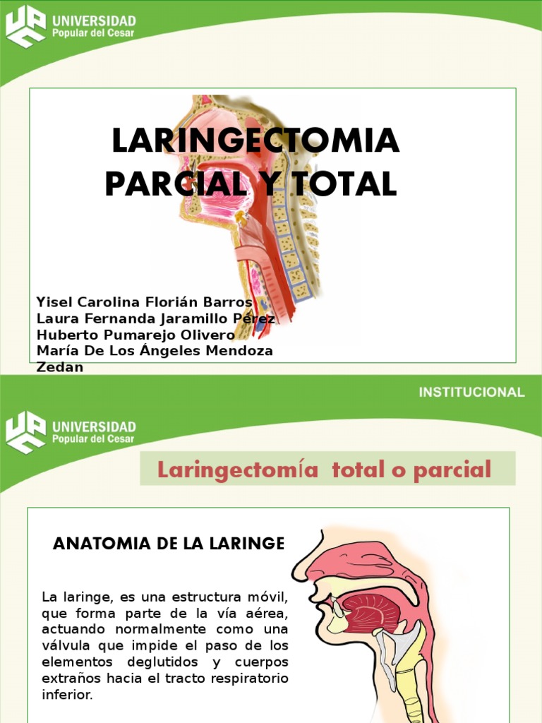Laringectomia (Autoguardado) | PDF | Laringe | Cáncer