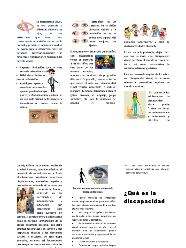 Folleto La Discapacidad Visual | PDF | Percepción visual | Discapacidad visual