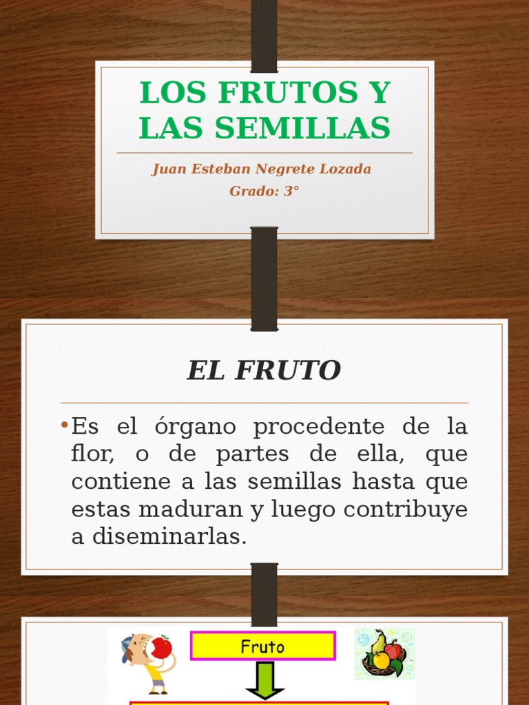 Los Frutos y Las Semillas Exposicion | PDF | Ciencia y matemáticas