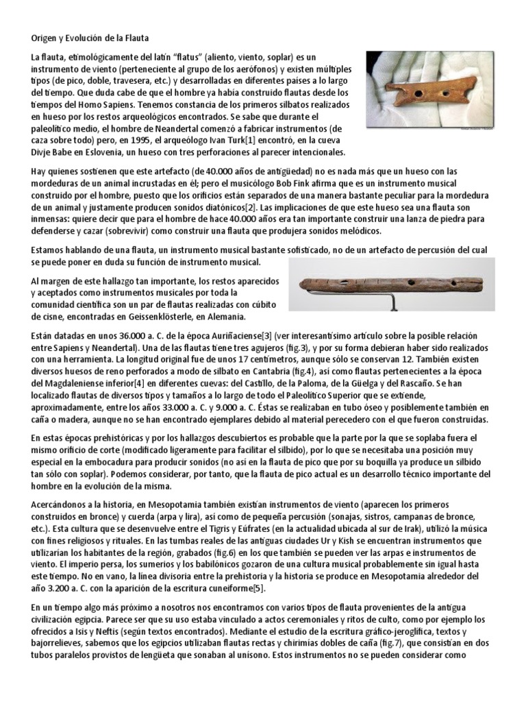 Origen y Evolución de La Flauta | Descargar gratis PDF | Flauta ...