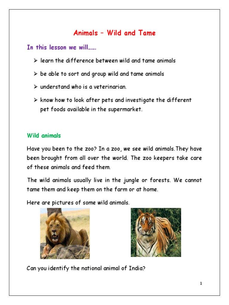 Animals - Wild and Tame: in This Lesson We Will | PDF | Pet | Wildlife