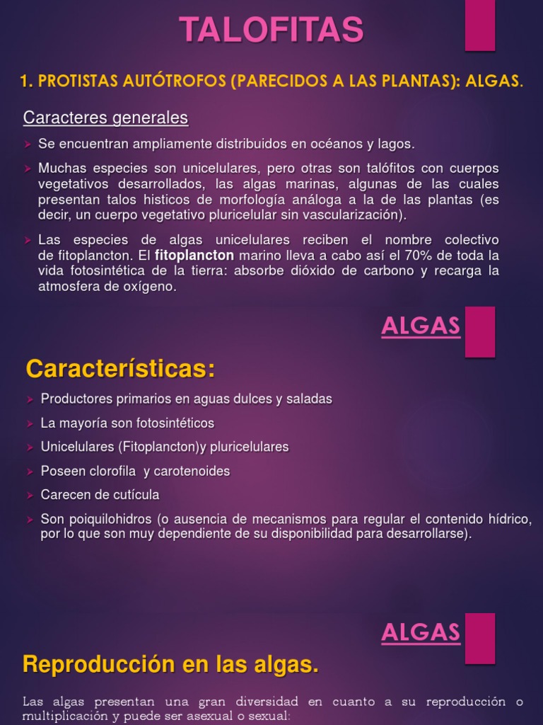Talofitas | PDF | Algas | Plantas