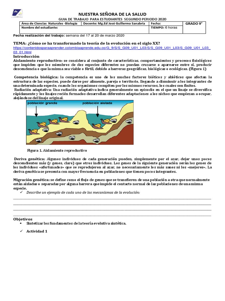 GUIA EVOLUCION # 3 9a-9b | PDF | Evolución | Dominancia (Genética)