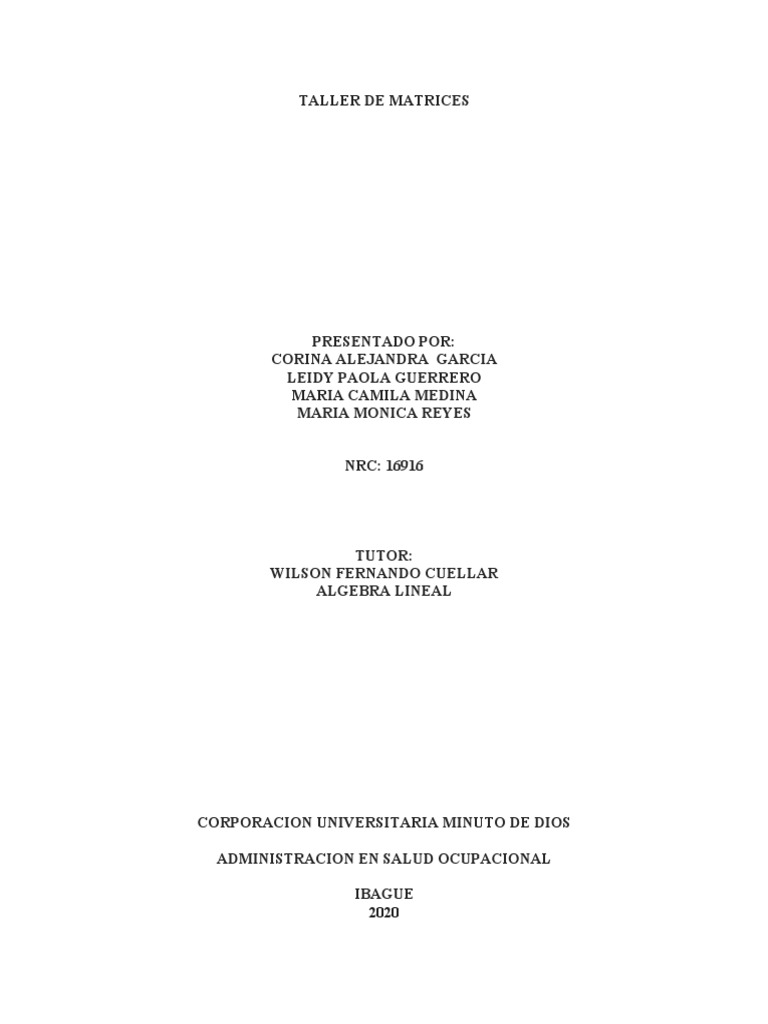 Taller de Matrices | PDF | Matriz (Matemáticas) | Análisis funcional