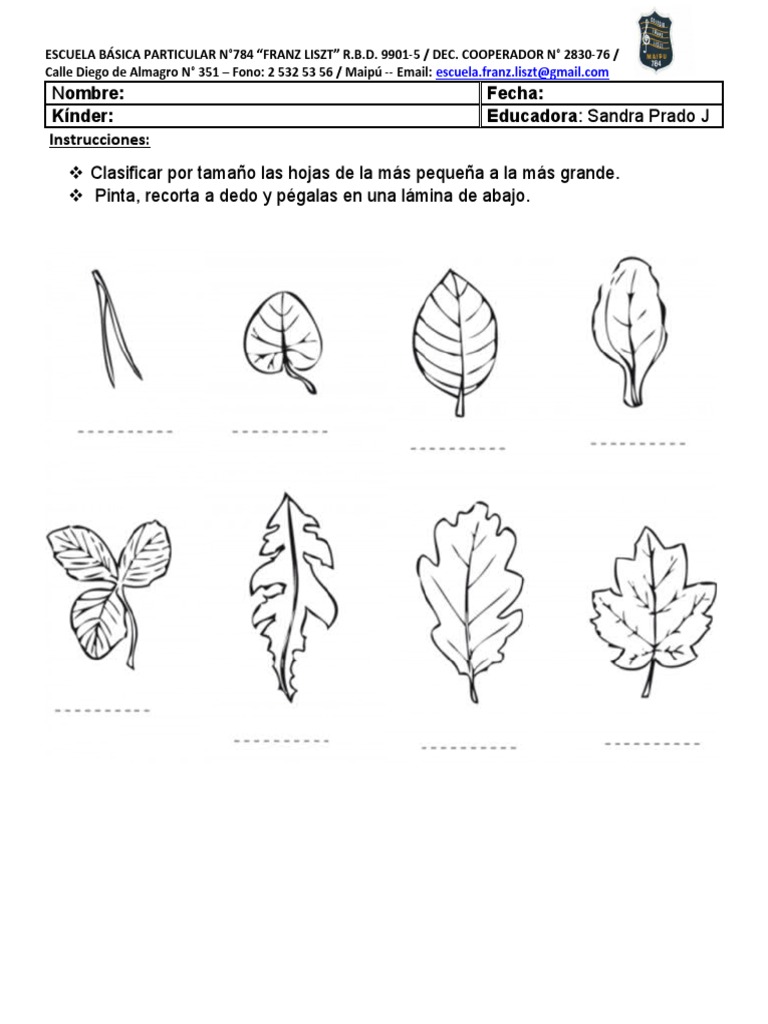 Guía #16 Kínder | PDF