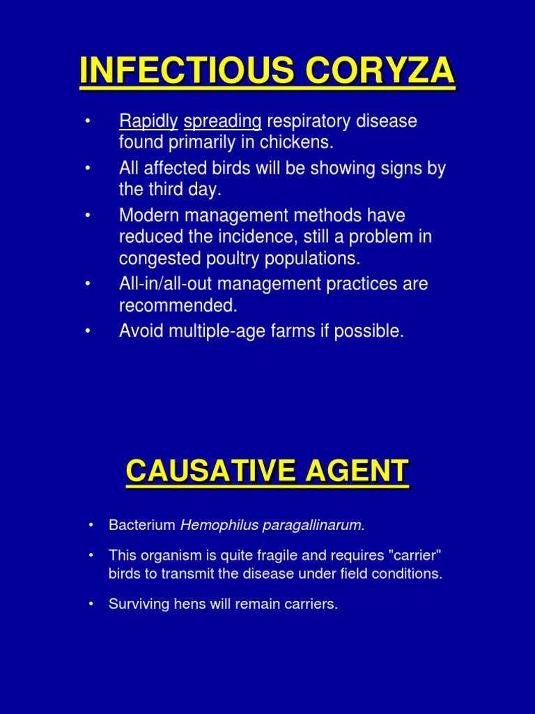 Infectious Coryza | PDF | Public Health | Medical Specialties