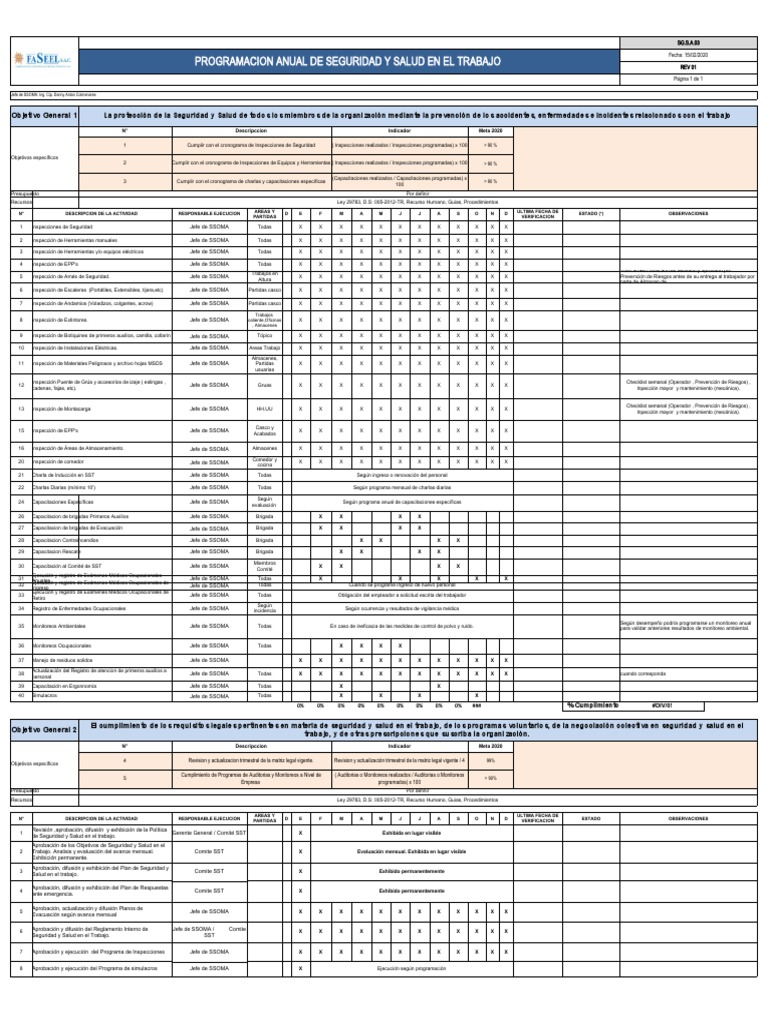 Programacion Anual De Seguridad Y Salud En El Trabajo: Jefe de SSOMA: Ing. Cip. Danny Anton ...