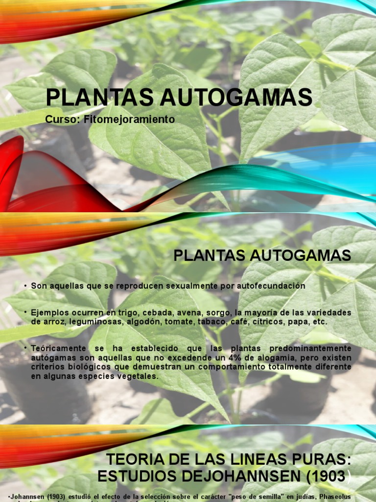 Métodos de Selección en Plantas Autógamas | PDF | Genotipo | Flores