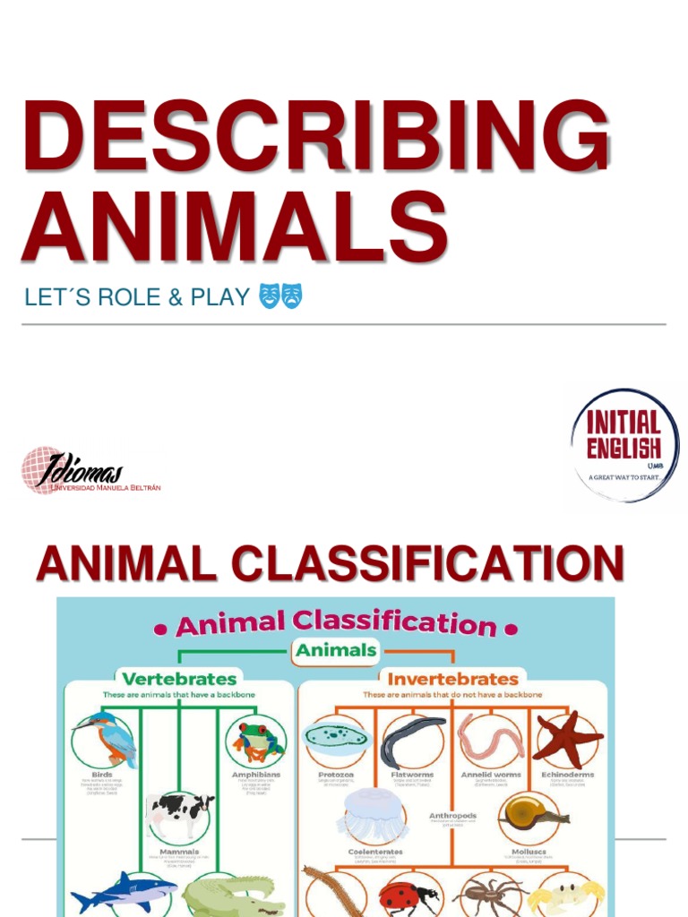 Describing Animals: Let S Role & Play | PDF | Adjective | English Language