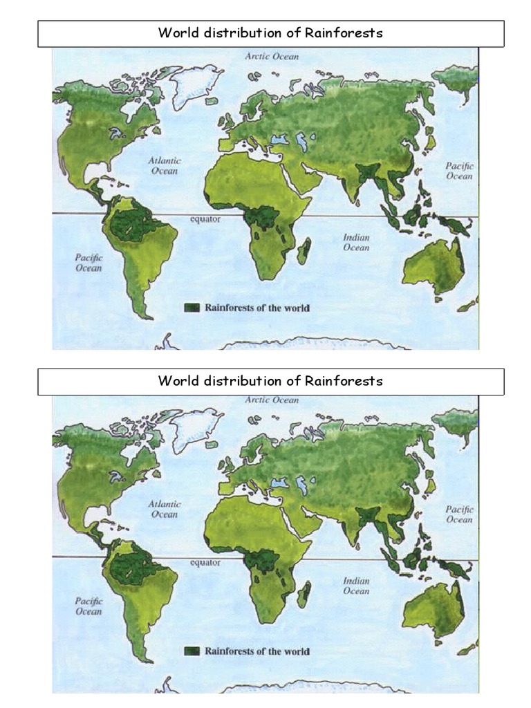 Lesson 1 Map of Rainforests | PDF