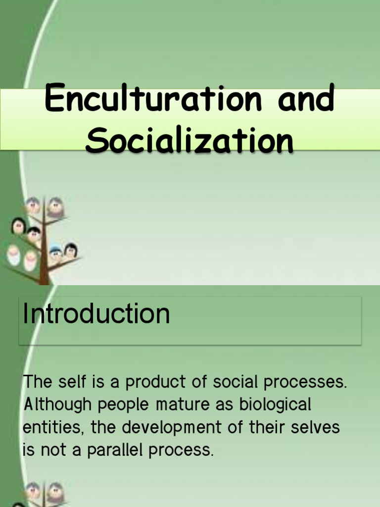 Chapter 4 Lesson 1 Enculturation and Socialization | PDF | Socialization | Identity (Social Science)