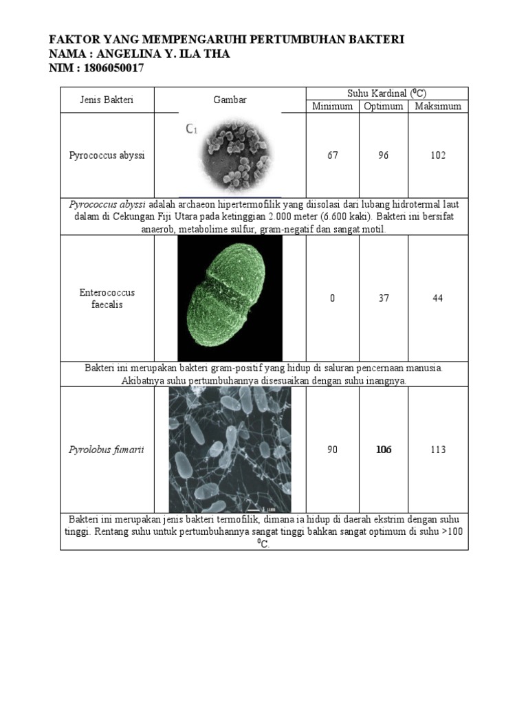 Faktor Tumbuh Bakteri ANGELINA ILA THA | PDF