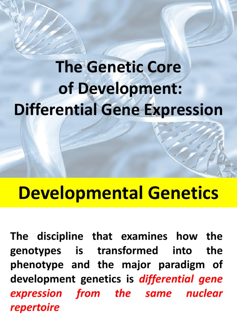 Lect 5 The Genetic Core of Development Defferential Gene Expression PDF ...