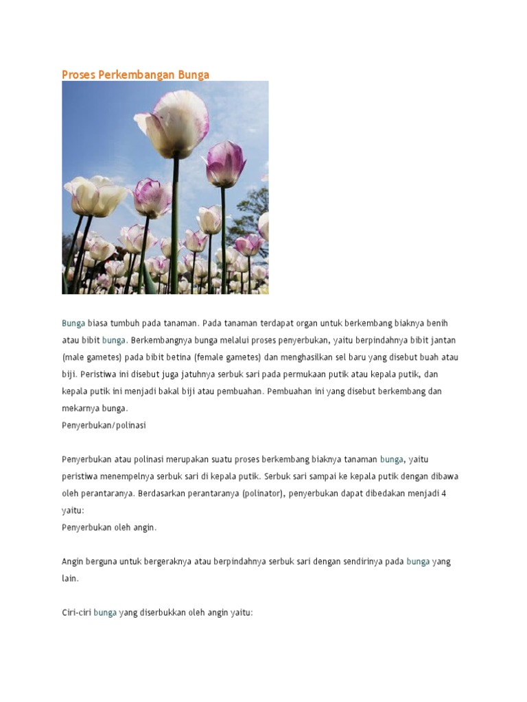 Proses Perkembangan Bunga | PDF