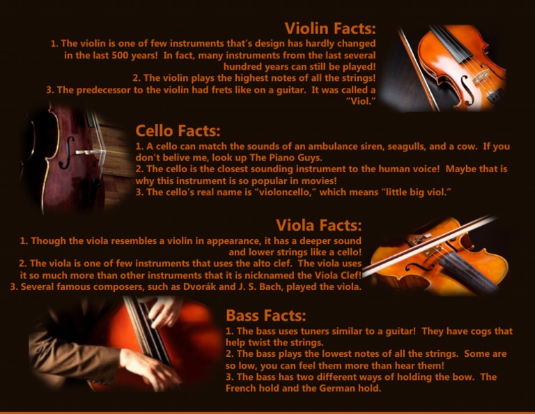 Cello Facts | PDF
